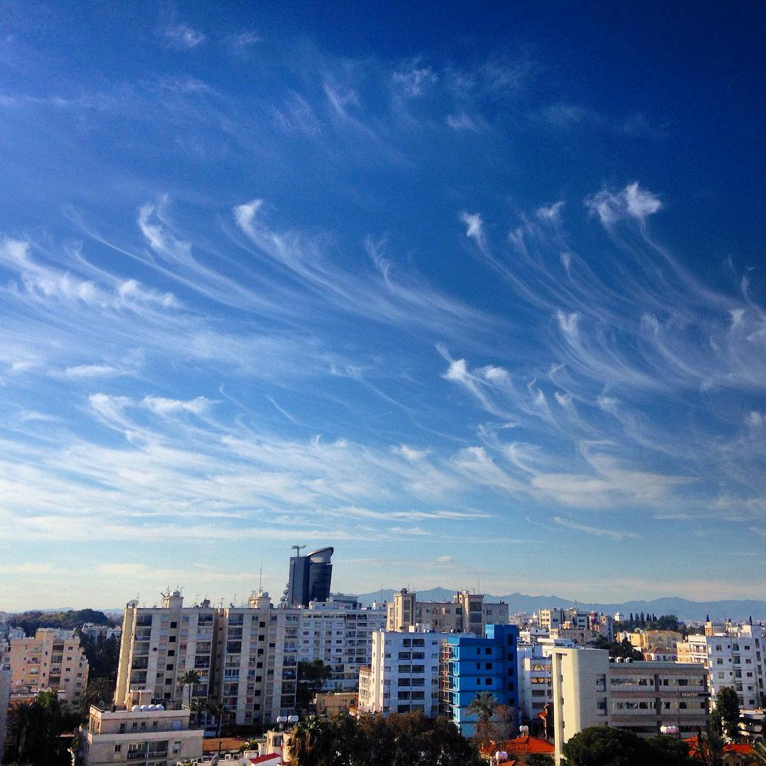 Wargaming's new office in Cyprus - The Armored Patrol